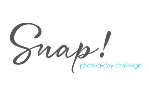 Snap Photo-a-Day Challenge | Snap Conference
